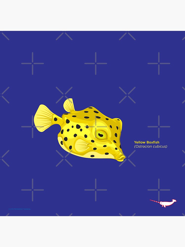 "Fish: Yellow Boxfish" Sticker for Sale by PepomintNarwhal | Redbubble