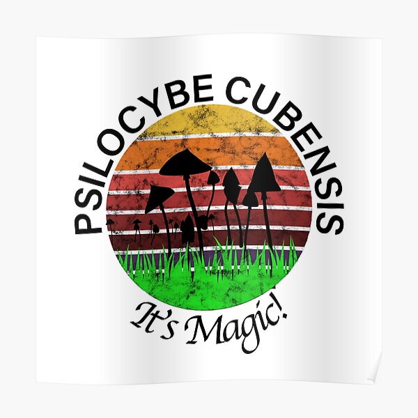 "Psilocybe Cubensis - Magic Mushrooms - Terence mckenna Psilocybin ...