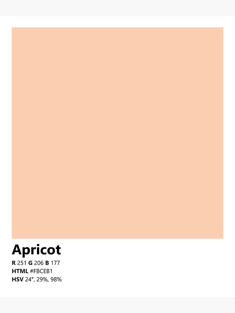 "Color Swatch/Card (Apricot)" Sticker for Sale by Pestorian | Redbubble