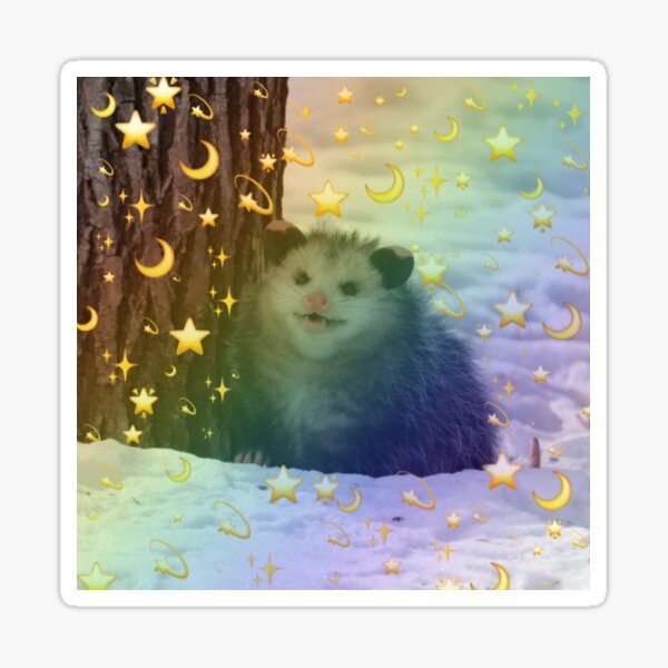 "rainbow possum" Sticker for Sale by maknchz | Redbubble