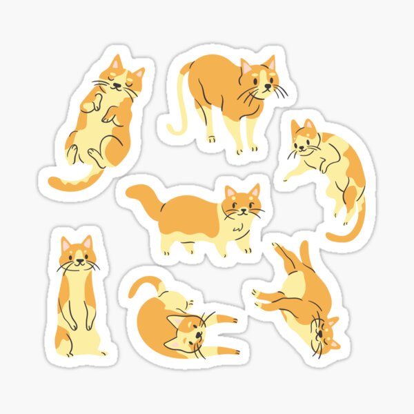 "Cats Positions" Sticker for Sale by Anzarr | Redbubble