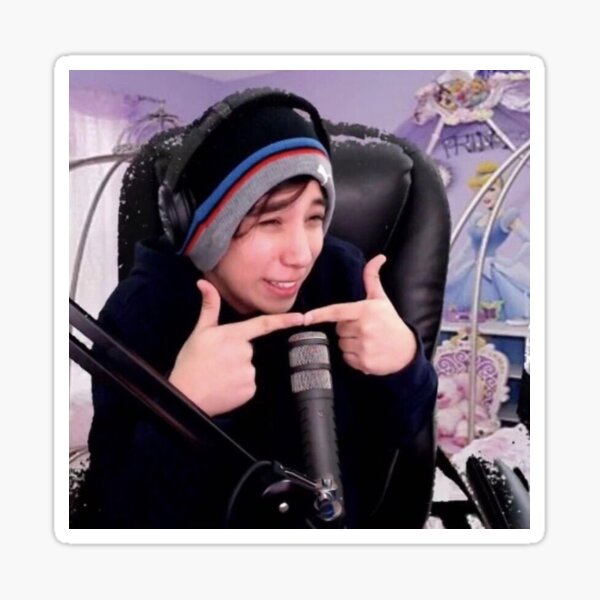 "quakity - quackity - quackityhq" Sticker for Sale by VintagePrada ...