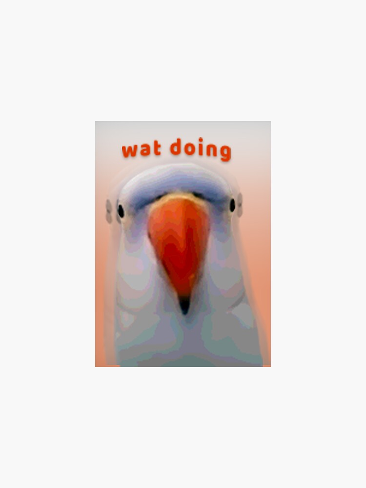 "Hamlet TikTok Bird What (wat) Doing?!" Sticker for Sale by hecurcio ...