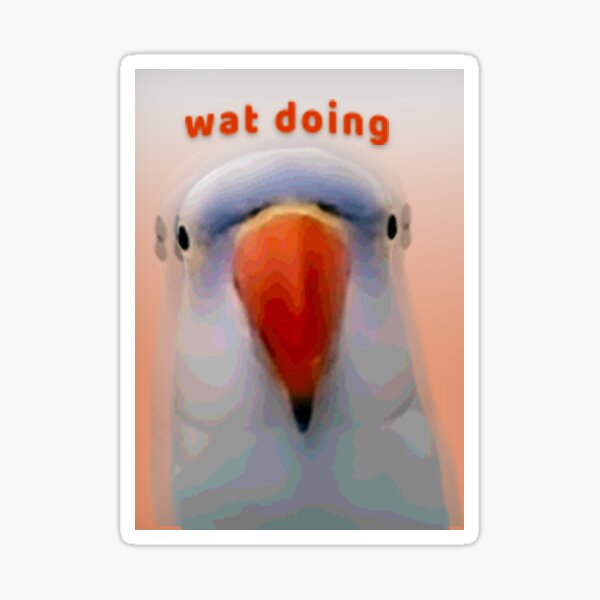 "Hamlet TikTok Bird What (wat) Doing?!" Sticker for Sale by hecurcio ...