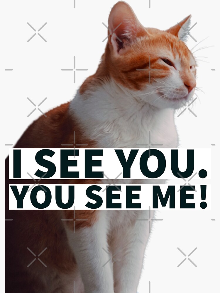 "I see you you see me funny cat" Sticker for Sale by EmotionArt | Redbubble