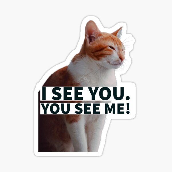 "I see you you see me funny cat" Sticker for Sale by EmotionArt | Redbubble