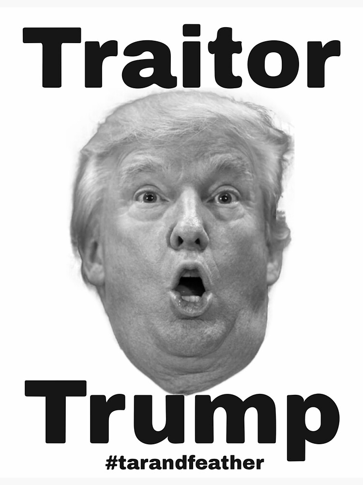 "Traitor Donald Trump" Sticker for Sale by TarandFeather21 | Redbubble