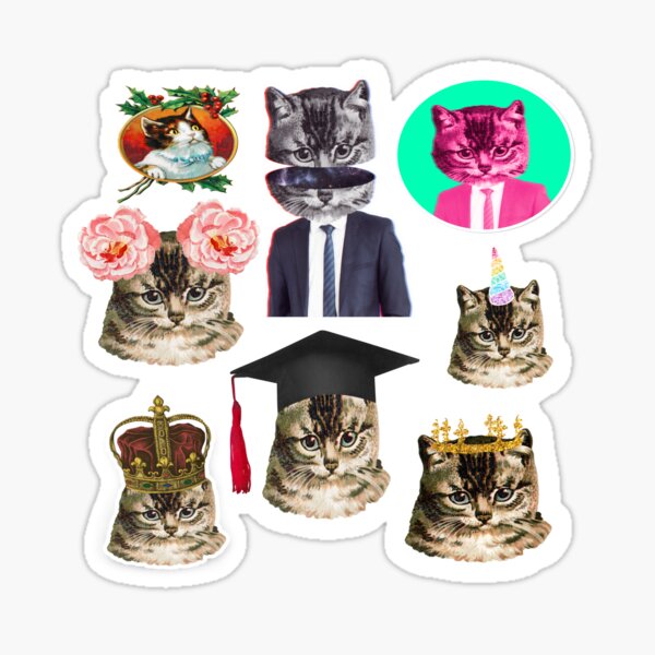 " Funny cats!" Sticker for Sale by latifa1999 | Redbubble