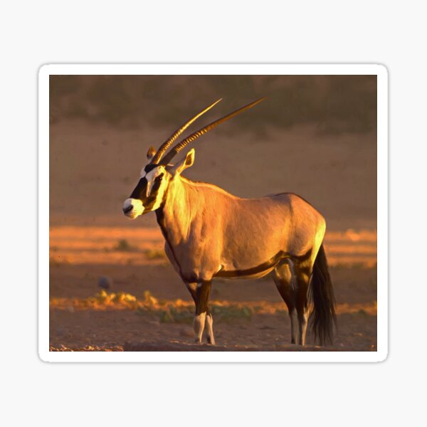 Guardi71 Shop | Redbubble