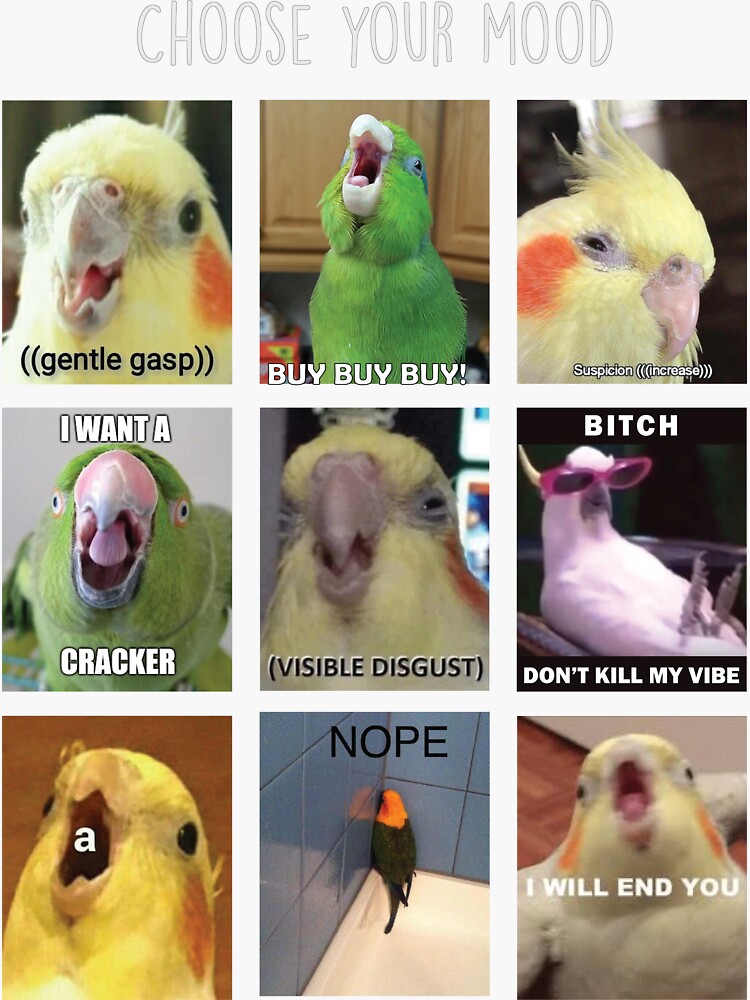 "Parrots Meme Mood" Sticker by BurgerDesigns | Redbubble