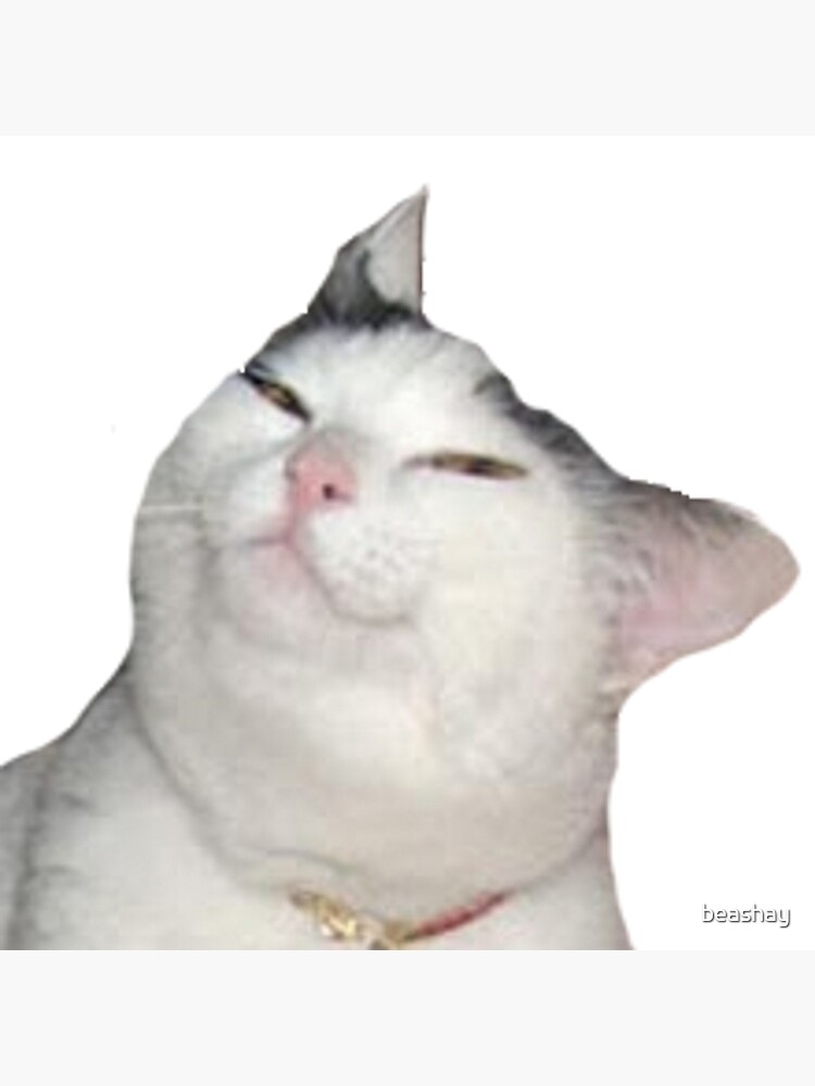 "Smug Cat" Poster by beashay | Redbubble