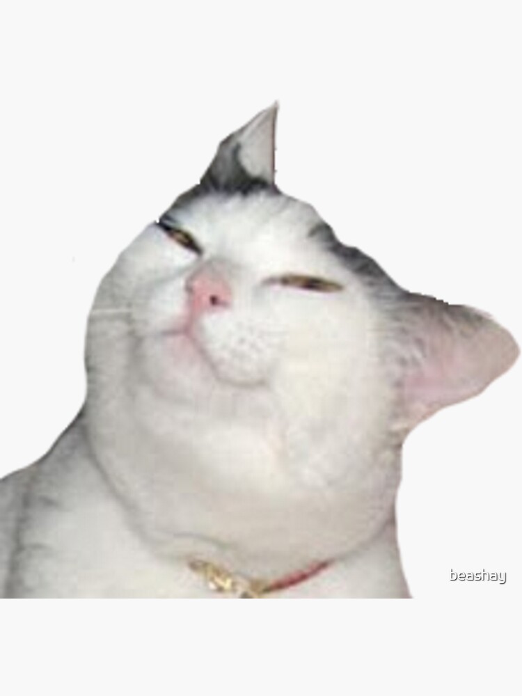 "Smug Cat" Sticker for Sale by beashay | Redbubble