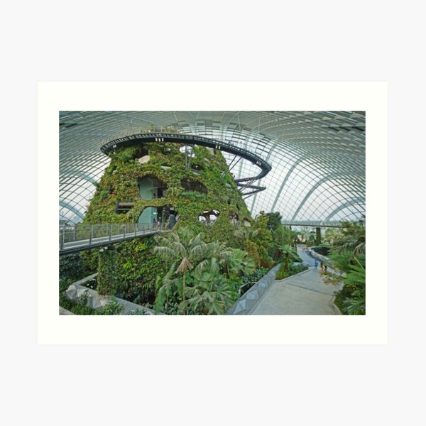 "Cloud Forest - Singapore Indoor Forest - Cloud Mountain" Art Print by ...