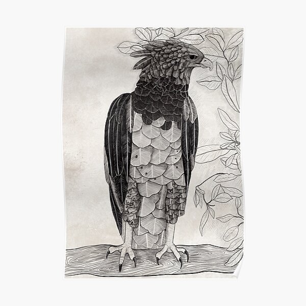"Harpy Eagle" Poster for Sale by BlackCrowArt | Redbubble