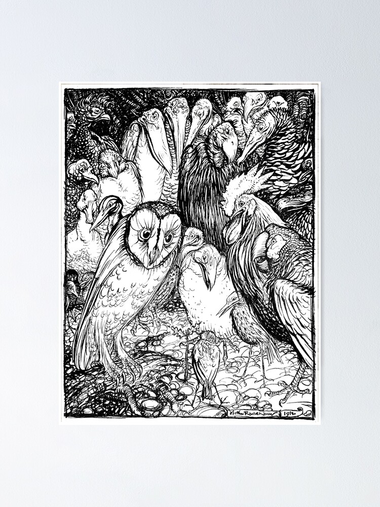 "Arthur Rackham Aesop's Fables - The Owl & The Birds - edwardian ...