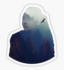 The 100 Cw: Stickers | Redbubble