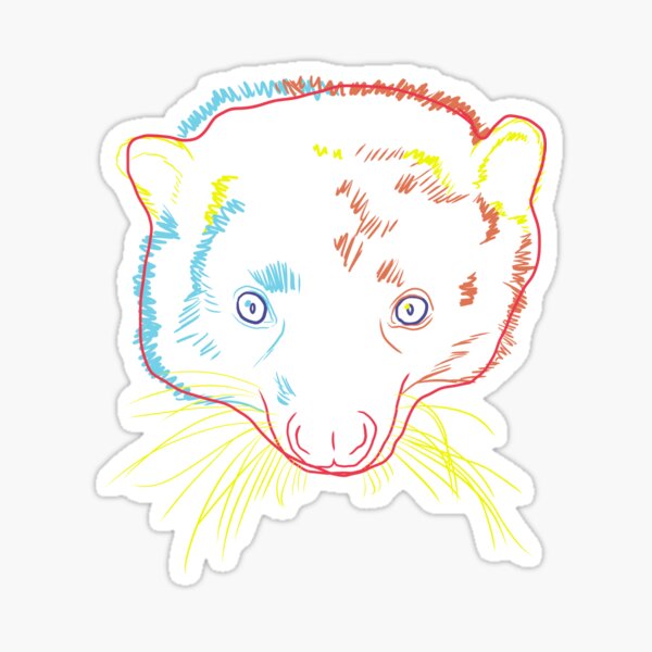 Binturong Merch & Gifts for Sale | Redbubble