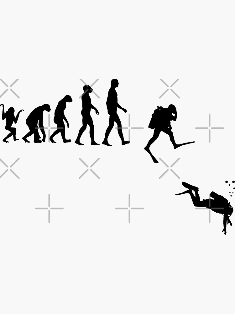 "Scuba Diving Evolution" Sticker for Sale by hendrixsck | Redbubble