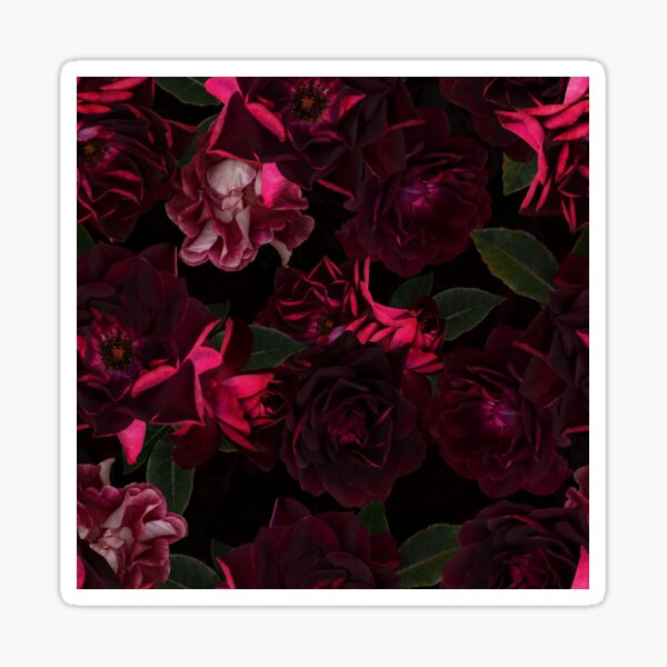 "Night Roses Botanical Garden" Sticker for Sale by UtArt | Redbubble