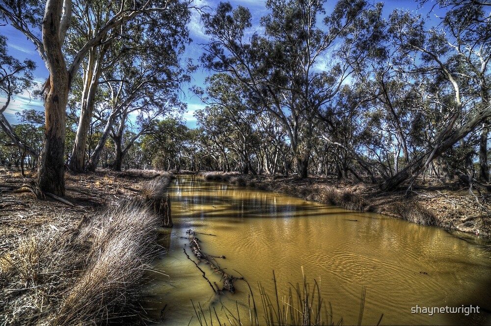 "Australian billabong" by shaynetwright | Redbubble