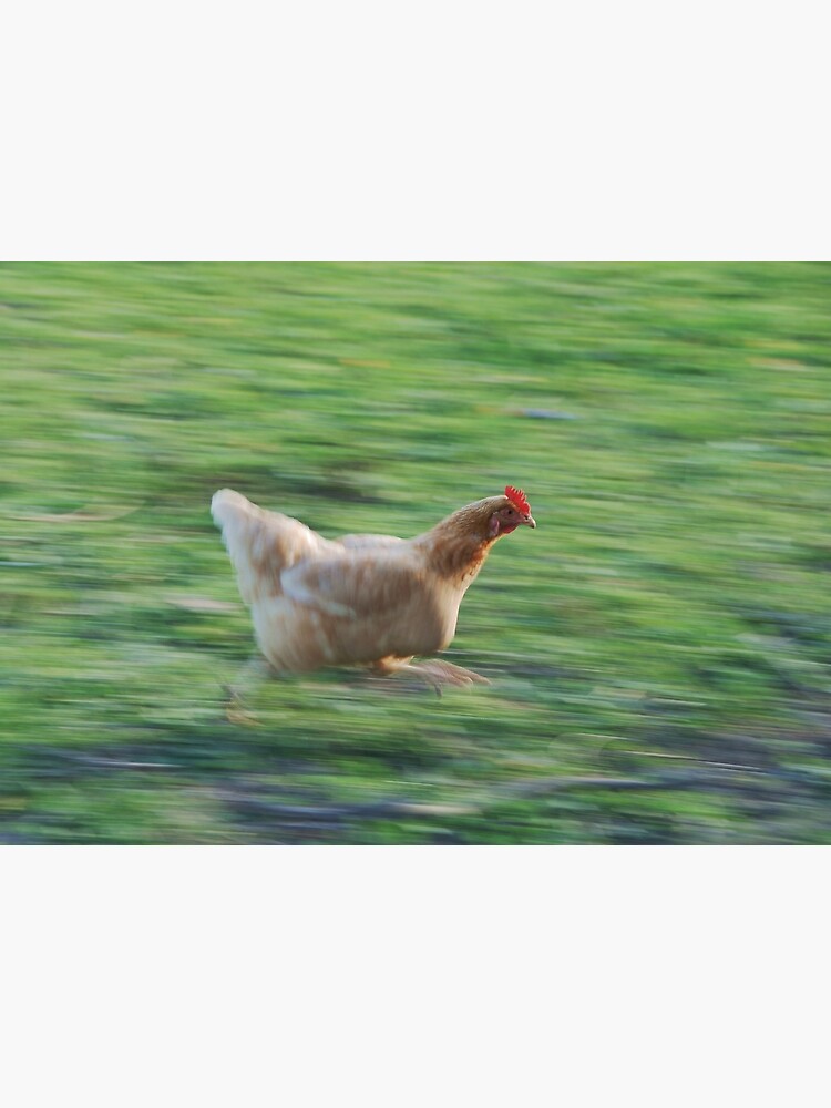 Gtgtgtgt Chicken Memes