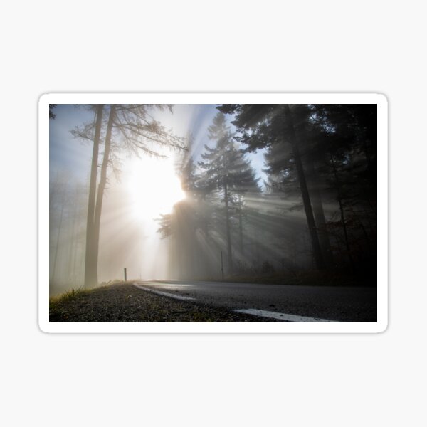 "Sun rays after the fog" Sticker for Sale by Brinax | Redbubble