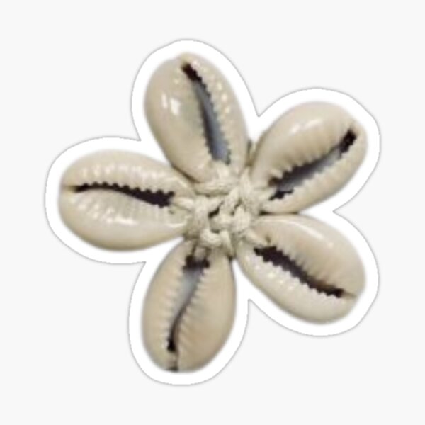 " A Cowrie, Cowrie Shell, Cluster of Cowries" Sticker for Sale by IDI69 ...