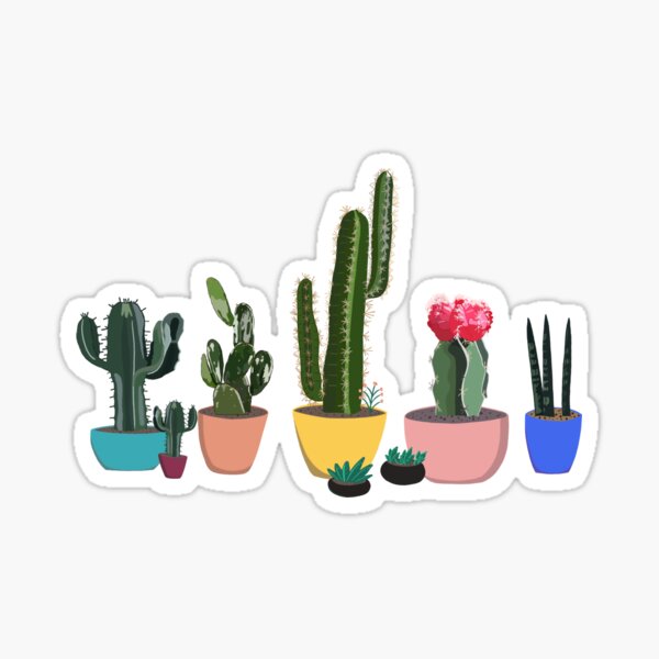 "Cacti" Sticker for Sale by smoochugs | Redbubble