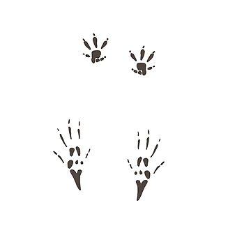 "Rat Paw Prints" Sticker for Sale by ArtByDecember | Redbubble