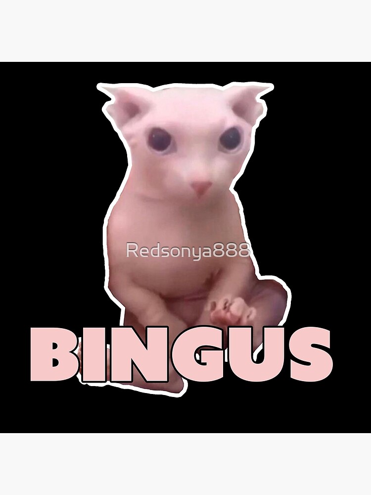 "Bingus" Poster for Sale by Redsonya888 | Redbubble