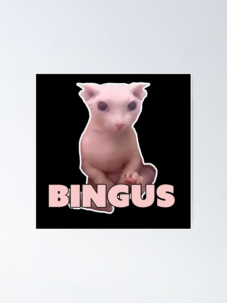 "Bingus" Poster for Sale by Redsonya888 | Redbubble