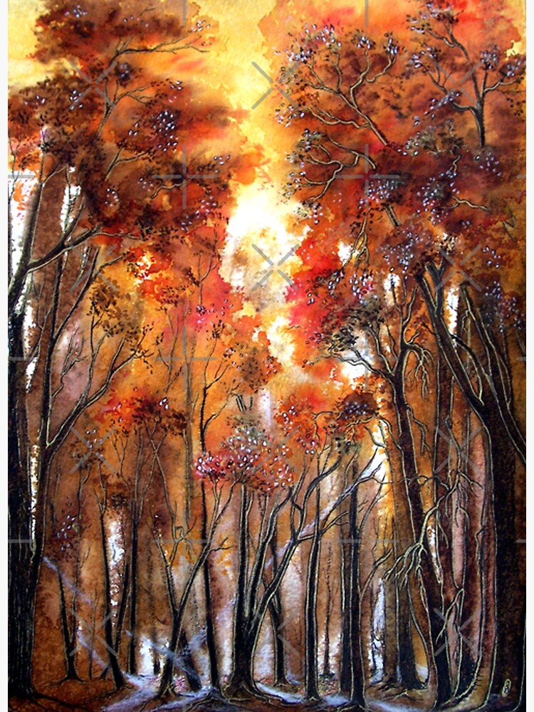 "Timeless Trees" Photographic Print for Sale by LindArt1 | Redbubble