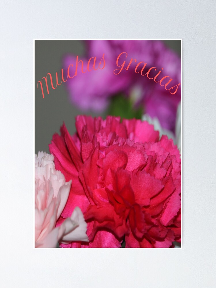 "Muchas Gracias Carnations " Poster for Sale by hardwork77 | Redbubble