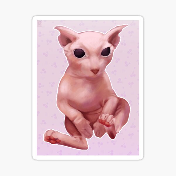 "Bingus..." Sticker by Memmey | Redbubble