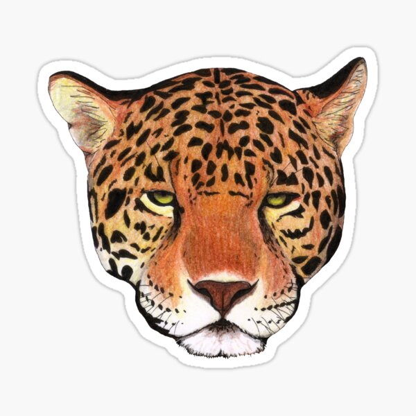 Jaguar Stickers | Redbubble