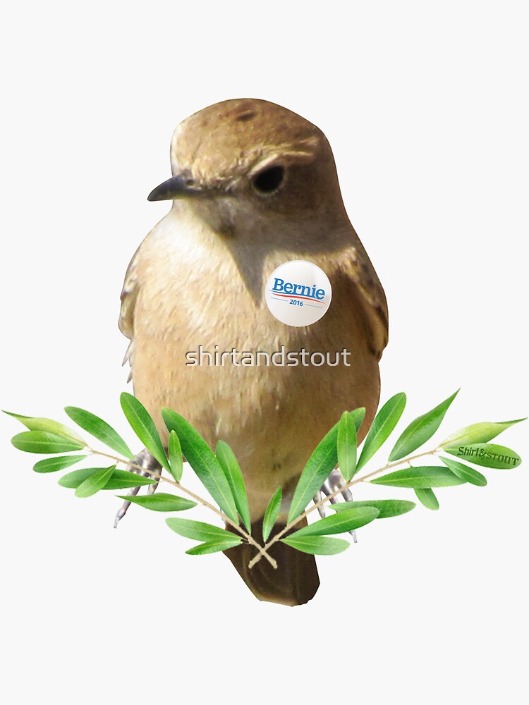 "Bernie Bird" Sticker by shirtandstout | Redbubble