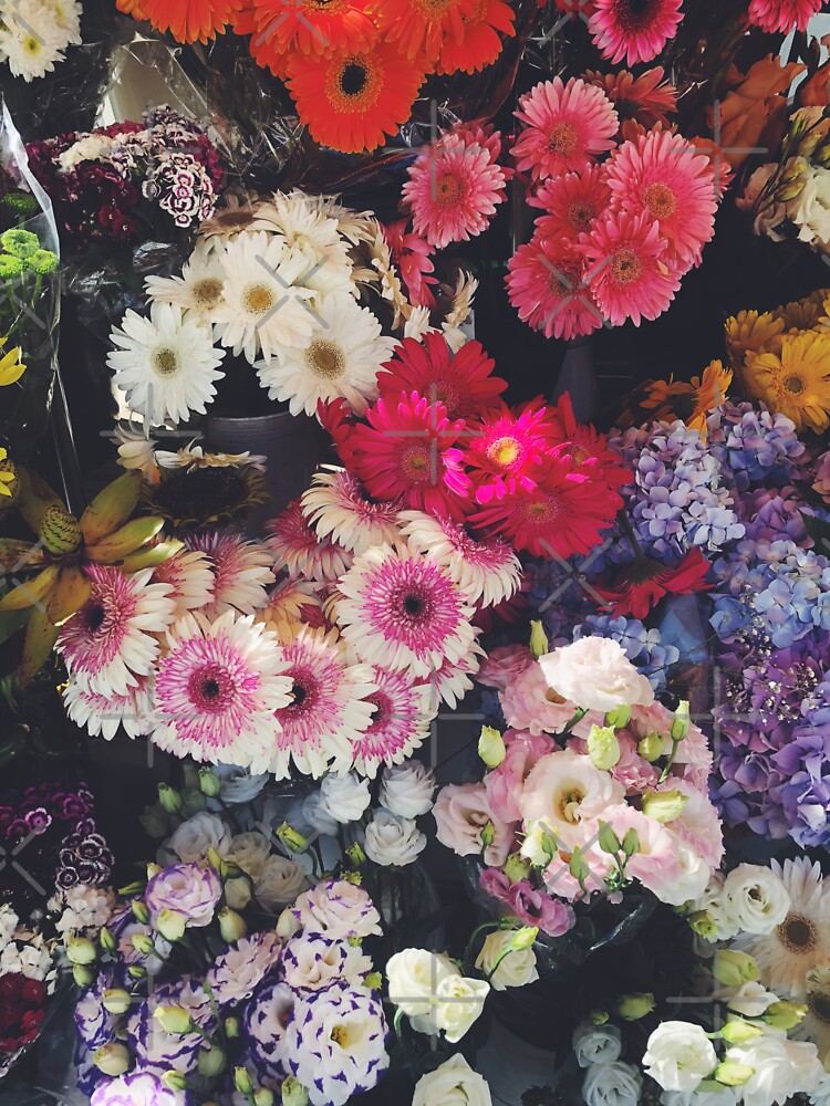 "Lisbon Flowers" Sticker for Sale by lymanphoto | Redbubble