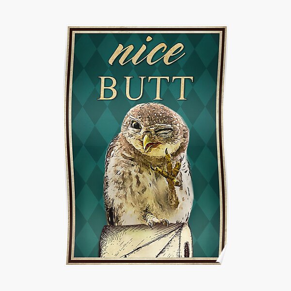 "Nice Butt Owl With Toilet Paper Gift Owl Lovers" Poster by MorningJoco ...