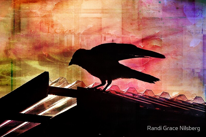 "Crow Silhouette" by Randi Grace Nilsberg | Redbubble