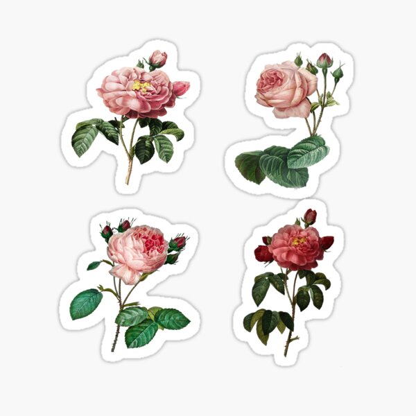 "Lovely Roses Sticker Pack" Sticker for Sale by Scubedesign | Redbubble