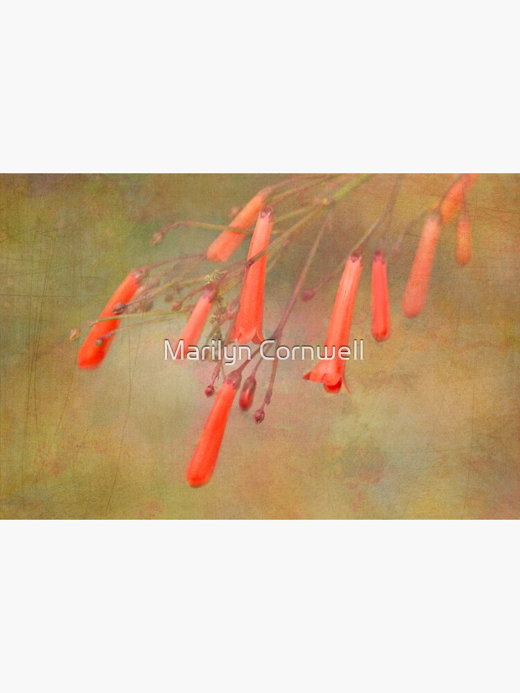 "Firecrackers" Sticker for Sale by marilyncornwell | Redbubble