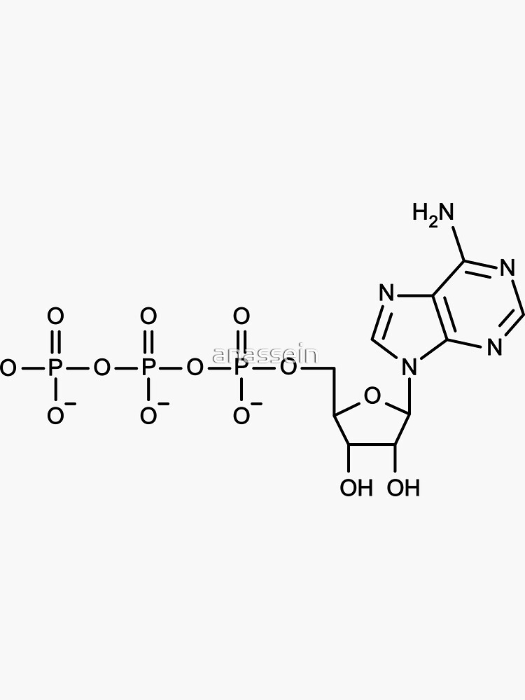 "ATP Biology Science Teacher Gift" Sticker for Sale by anassein | Redbubble