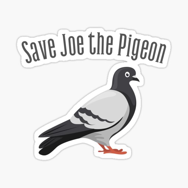 "Joe the Pigeon" Sticker for Sale by ds-4 | Redbubble