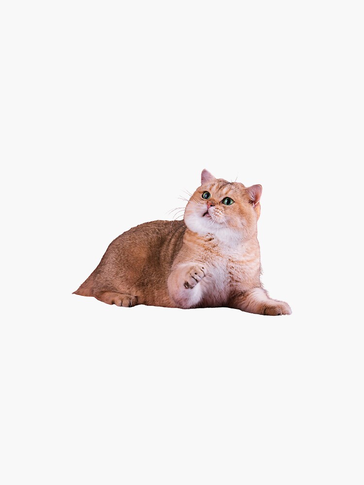 "Golden cat sticker" Sticker by Askariot | Redbubble