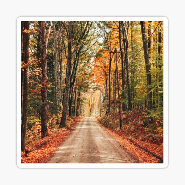 "autumnal footpath" Sticker for Sale by franckreporter | Redbubble