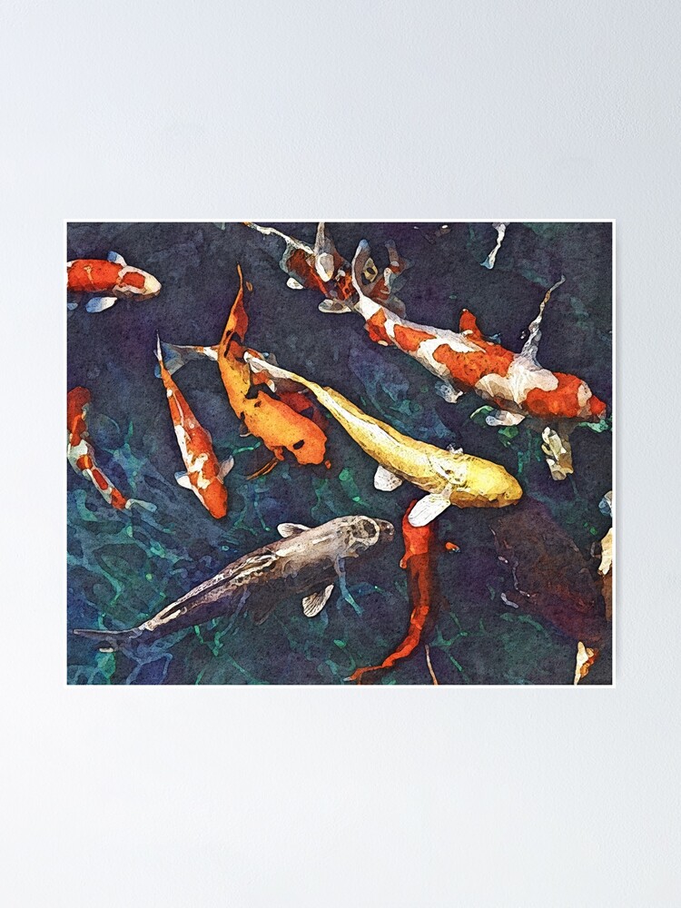 "Japanese Koi Fish in the Pond" Poster by solrevolver | Redbubble
