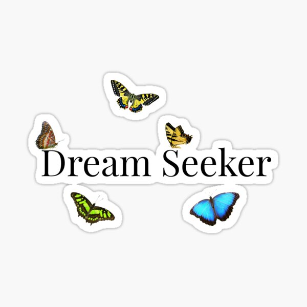 "Dream Seeker" Sticker for Sale by Dreamseeker2020 | Redbubble