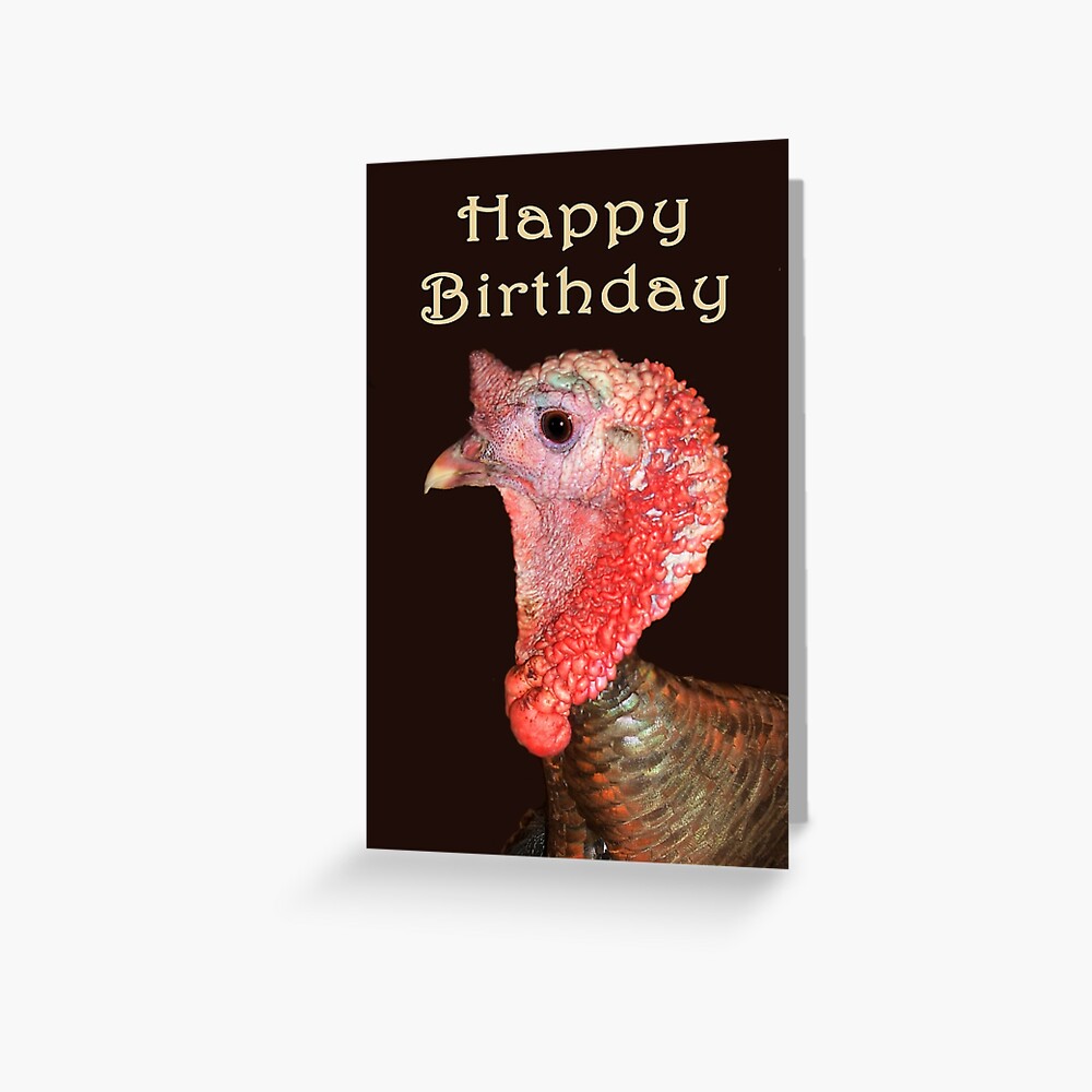 "Turkey Portrait, Happy Birthday, Humor" Greeting Card by gableend ...