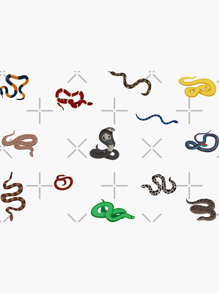 "snake sticker pack" Sticker for Sale by roshansingh12 | Redbubble