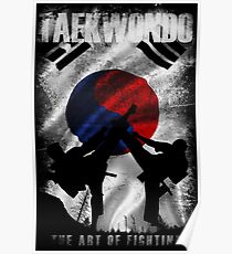 Taekwondo Posters | Redbubble